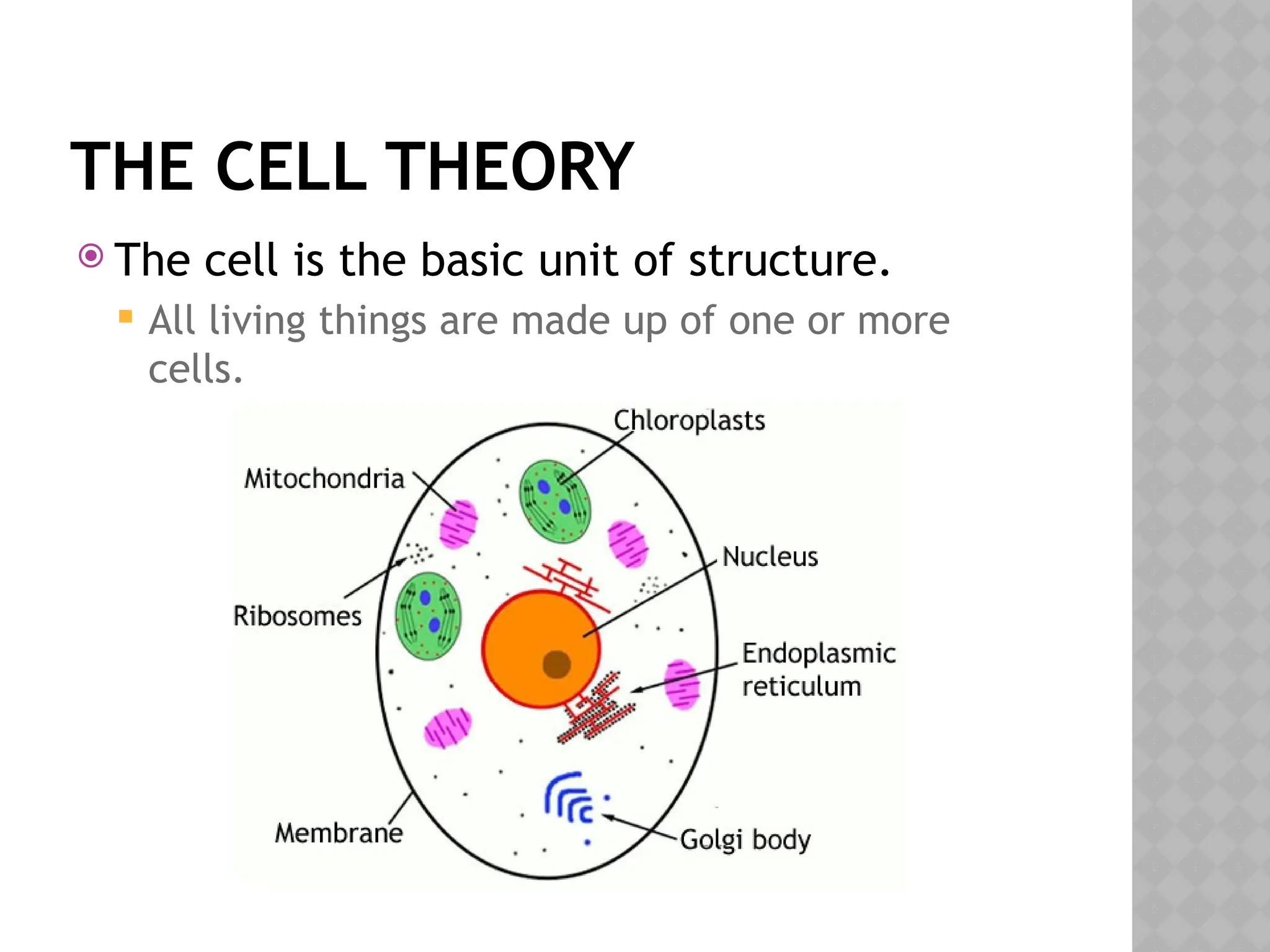 cell theory, scientists and cell structure | PPT