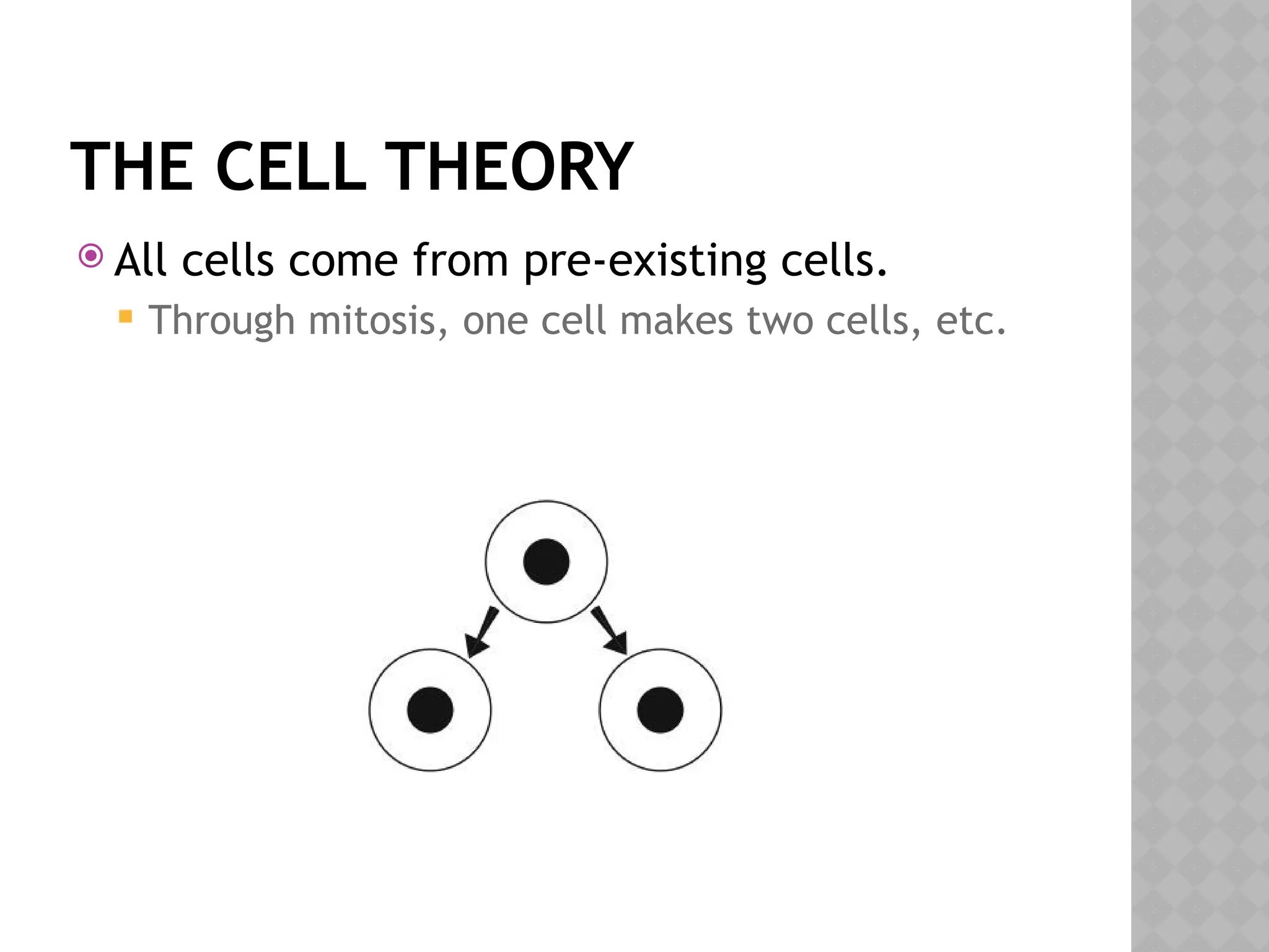 cell theory, scientists and cell structure | PPTX
