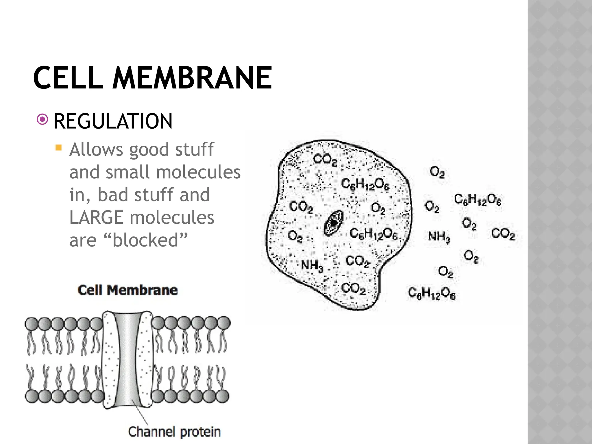 cell theory, scientists and cell structure | PPTX