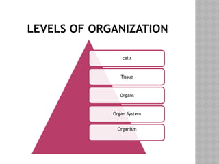 cell theory, scientists and cell structure | PPT