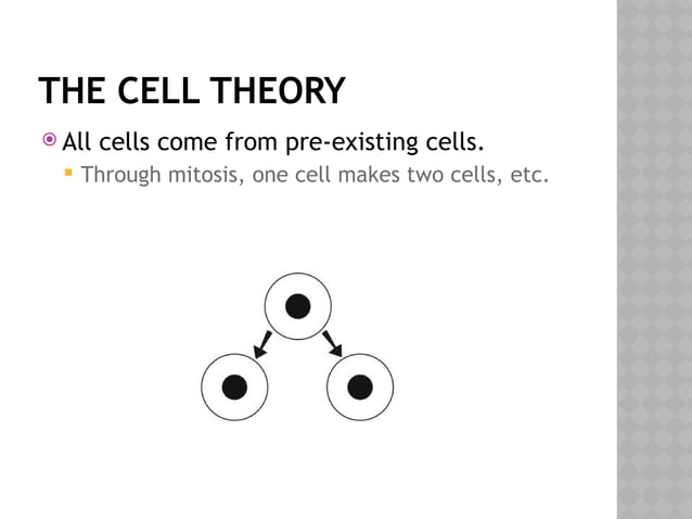 cell theory, scientists and cell structure | PPT
