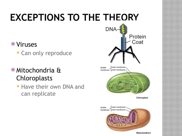 cell theory, scientists and cell structure | PPT