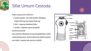 PPT Cestoda_Helvi Maudy Saswita, M.Si.pptx