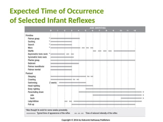 DEVELOPMENTAL REFLEXES AND STEREOTYPES.pptx