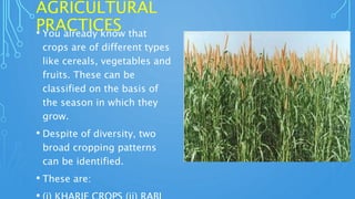 PPT Ch 1.pptx