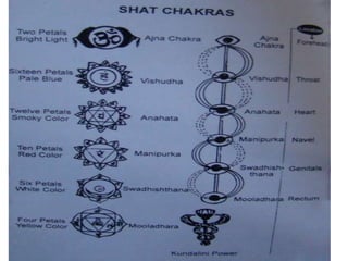 Ppt chakras-Shatchakre | PPT