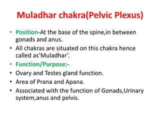 Ppt chakras-Shatchakre | PPTX