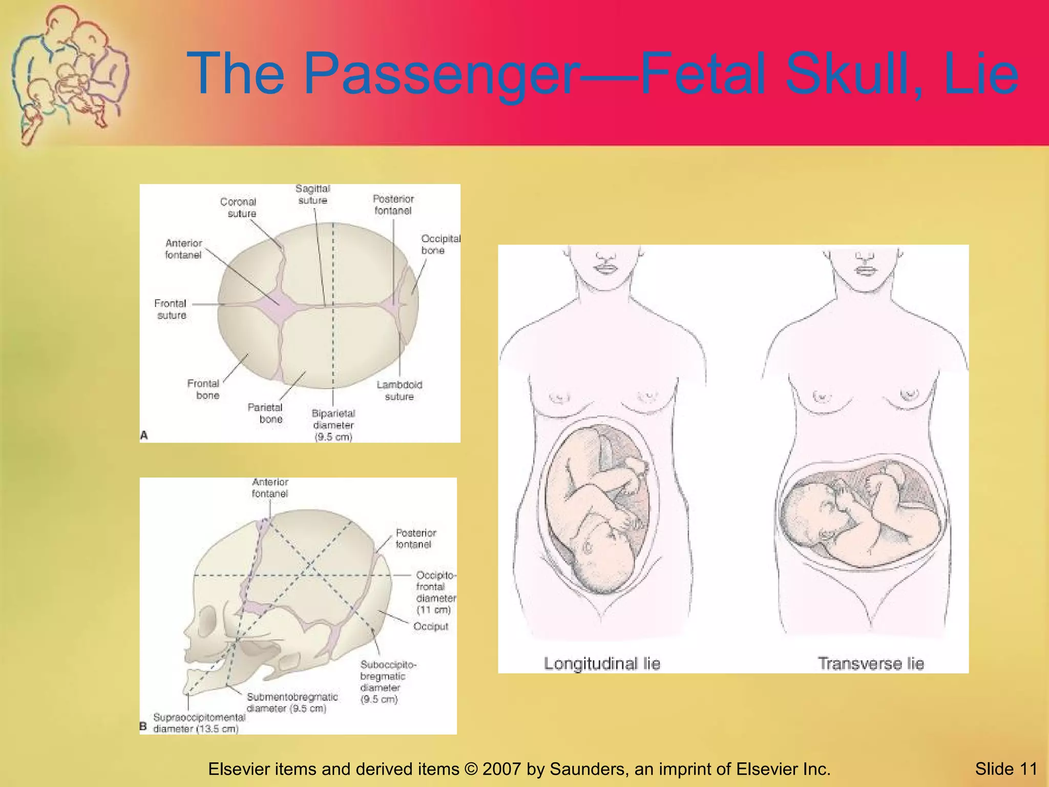 NURSING CARE OF MOTHER AND BABY DURING LABOR AND BIRTH | PPT