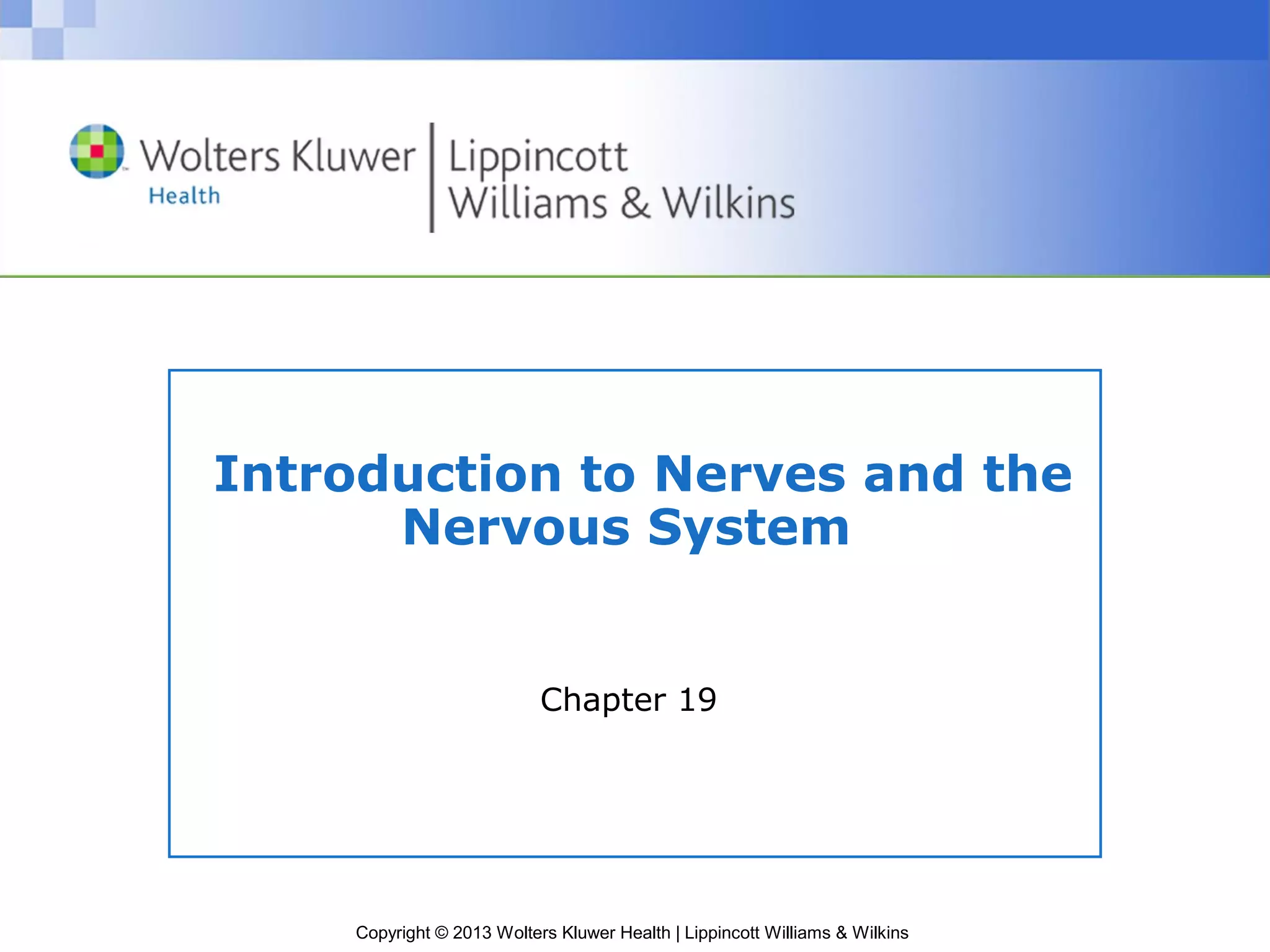 Ppt chapter 19 | PPT