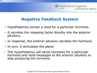Ppt chapter 34-1 | PPT
