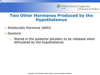 Ppt chapter 34-1 | PPT