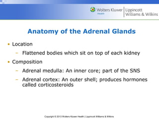 Ppt chapter 36-1 | PPT