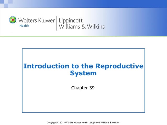 Ppt chapter 39 | PPT