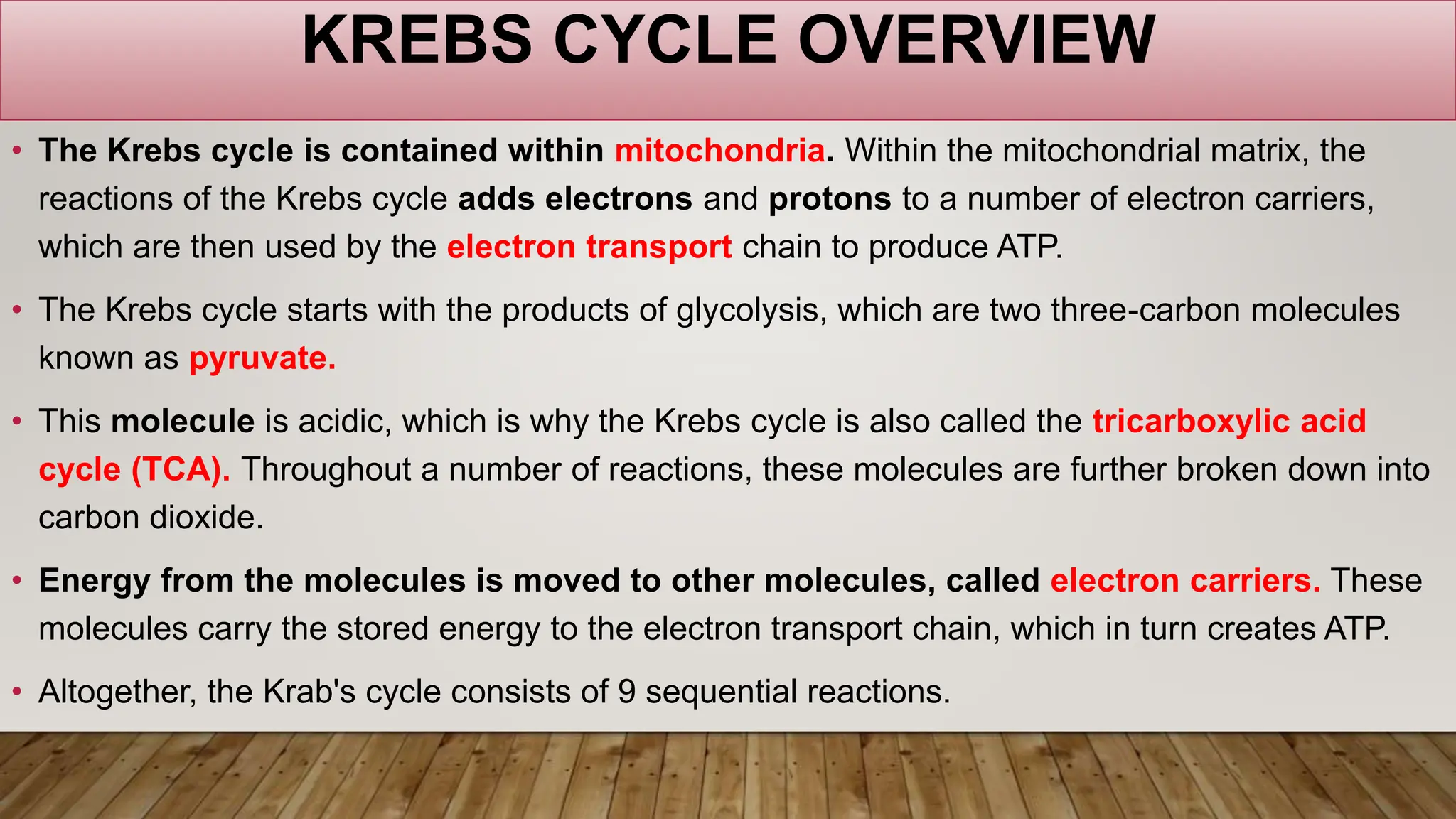 ppt chapter 4 respiration- The source of energy.pptx