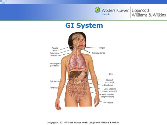 Ppt chapter 56 | PPT