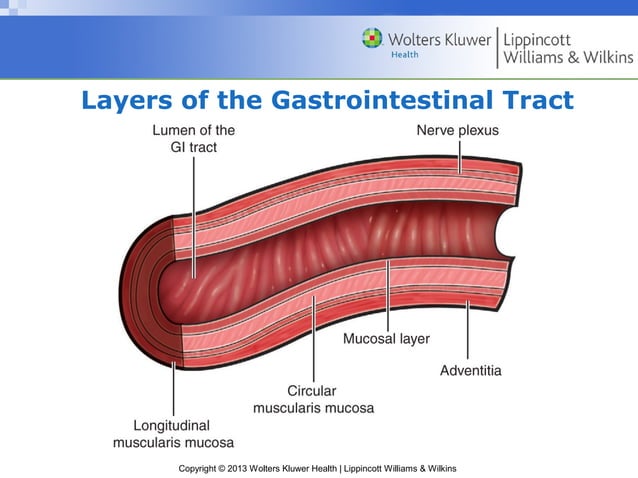 Ppt chapter 56 | PPT