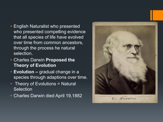 Ppt charles darwin | PPTX