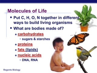 ppt_chemistry_of_life_intro STUDY NOTES.ppt