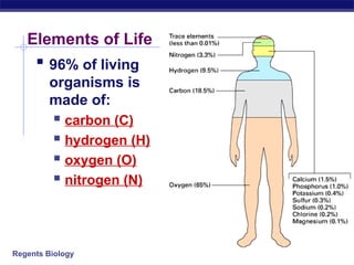 ppt_chemistry_of_life_introduction-to-carb.ppt