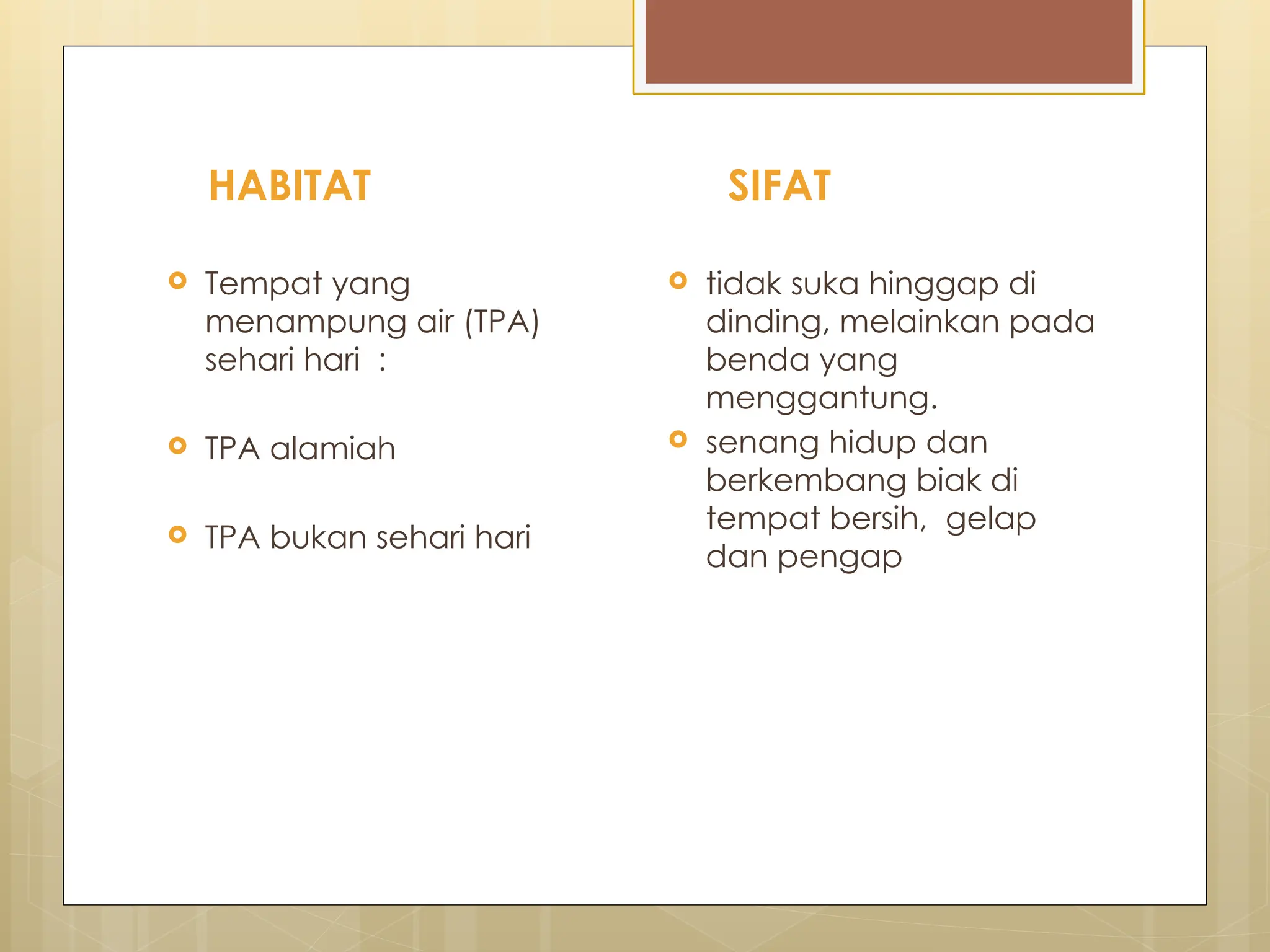 PPT chikungunya.pptx cikungunya di kehidupan sehari-hari | PPT