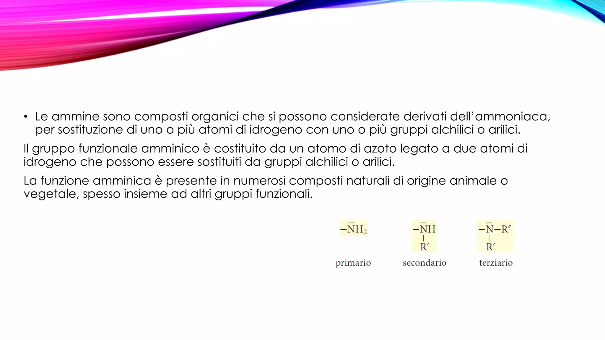 Ppt chimica organica lorenzo mazzocchetti | PDF