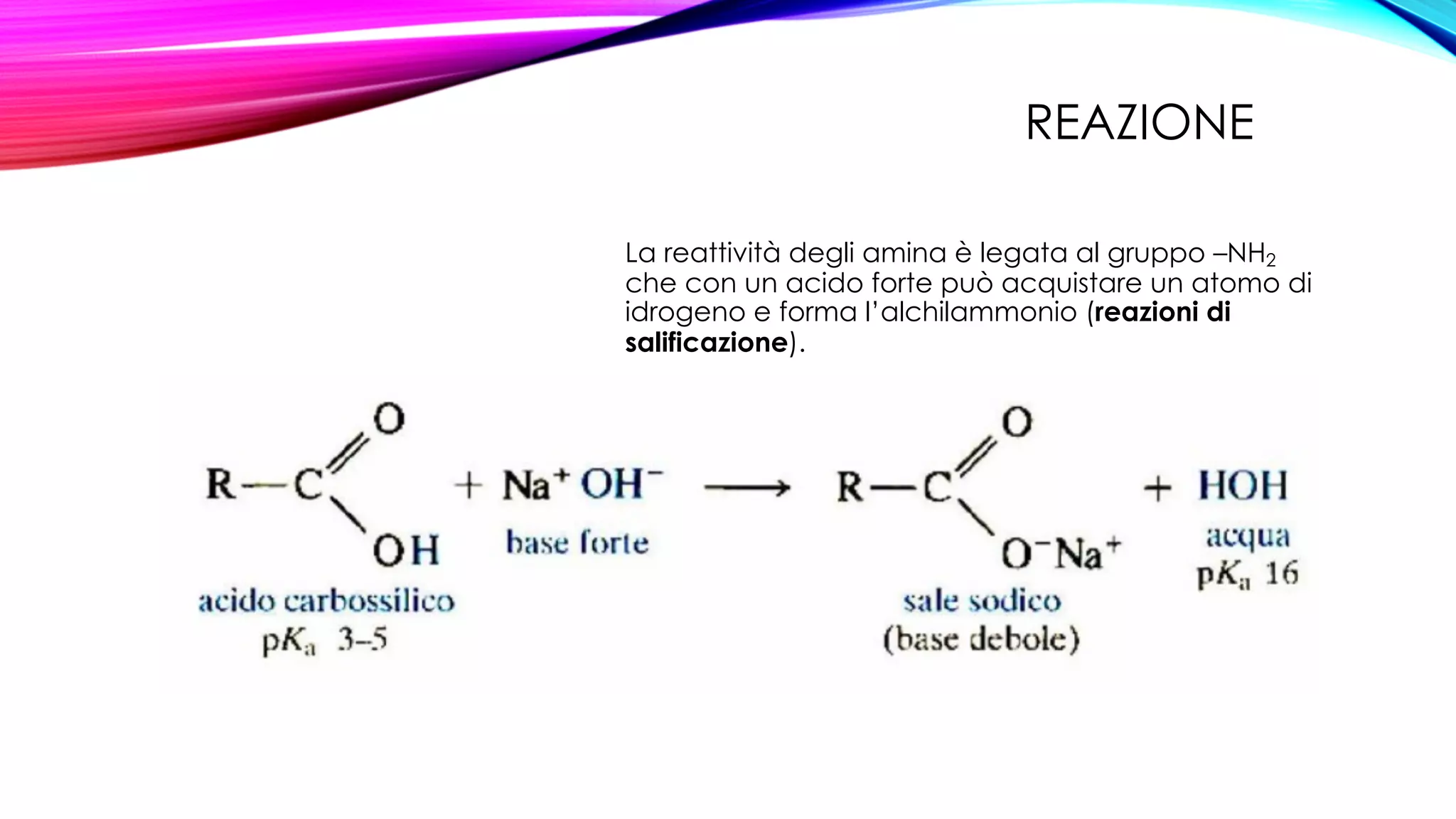 Ppt chimica organica lorenzo mazzocchetti | PDF
