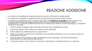 Ppt chimica organica lorenzo mazzocchetti | PDF