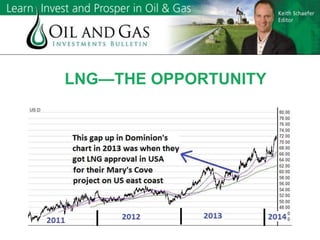 LNG Investment Conference 2014 - LNG - The Update by Keith Schaefer | PPT