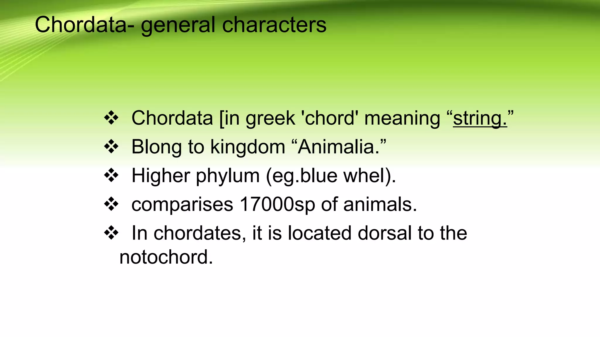 Chordata | PPTX