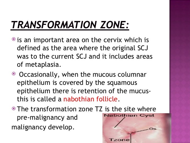 gynaecology.CIN.(dr.mraim)