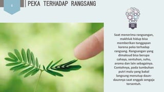 PPT Ciri-Ciri Makhluk-Hidup Aksi 1.pptx