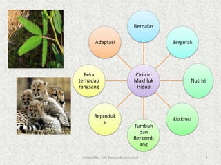 Ppt ciri makhluk hidup kelas 7 | PDF