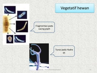 Ppt ciri makhluk hidup kelas 7 | PDF
