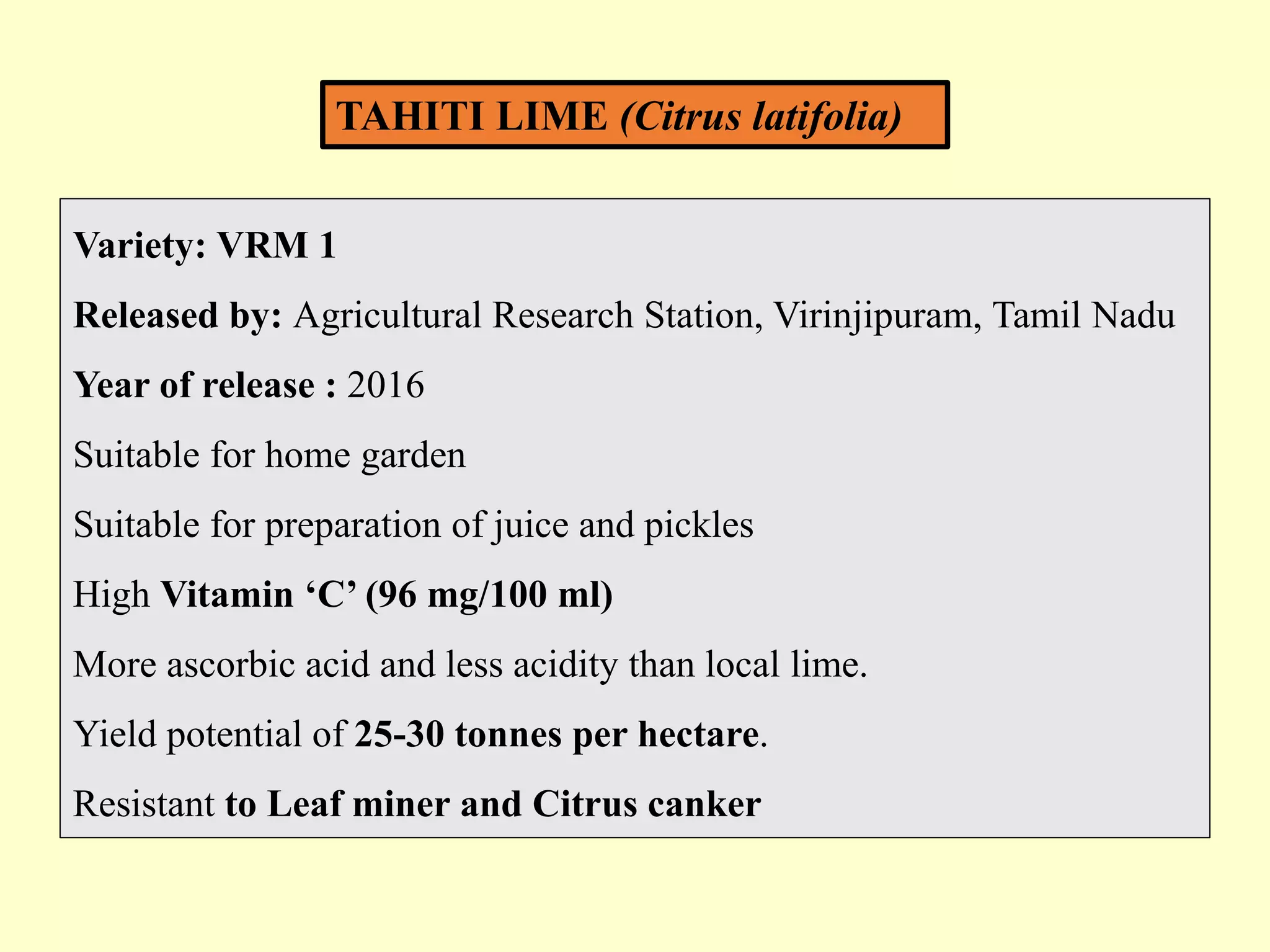Advances in Citrus Breeding (Sanjay Chetry).pptx