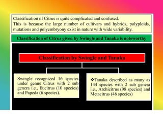 Advances in Citrus Breeding (Sanjay Chetry).pptx
