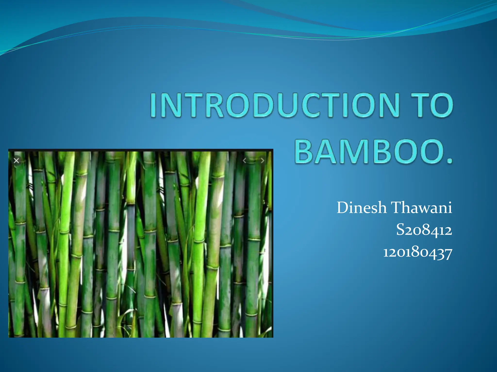PPT CIVIL CIVIL PROTOTYPING USING BAMBOO MATERIAL | PPTX