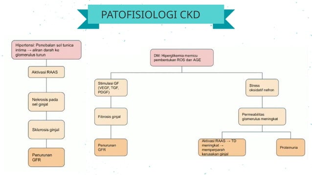ppt jantung dan pembuluh darah tentang ckd | PPT