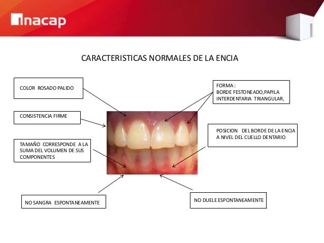 Ppt clase 1 perio 2015