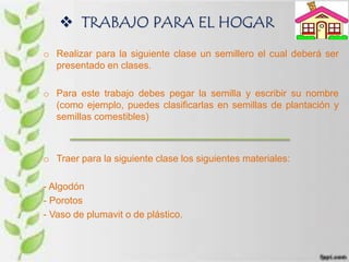 Ppt clase 1 (semillas flores y tallos) | PPTX