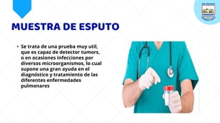 PPT CLASE 4 PROCEDIMIENTOS no invasivos ii | PDF