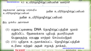 PPT CLASS 12 BIOLOGY BOTANY TM CHAPTER 4 PRINCIPLES AND PROCESSES OF ...