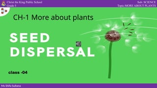 Reproduction in plants - seed dispersal method | PPTX