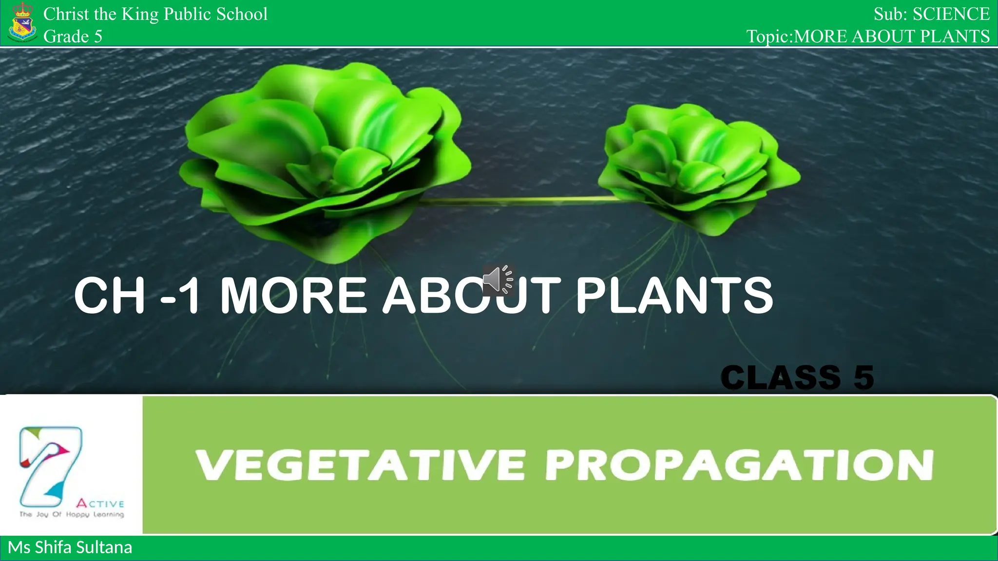 PPT_CLASS 5 CH 1 CLASS 5 - reproduction plants | PPTX