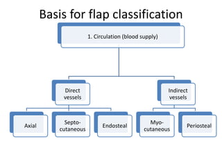 Classification of flaps
