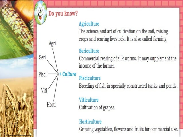 CBSE (CLASS 9 ) Crop Production by Dr.HP
