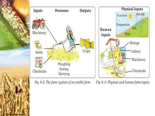 CBSE (CLASS 9 ) Crop Production by Dr.HP