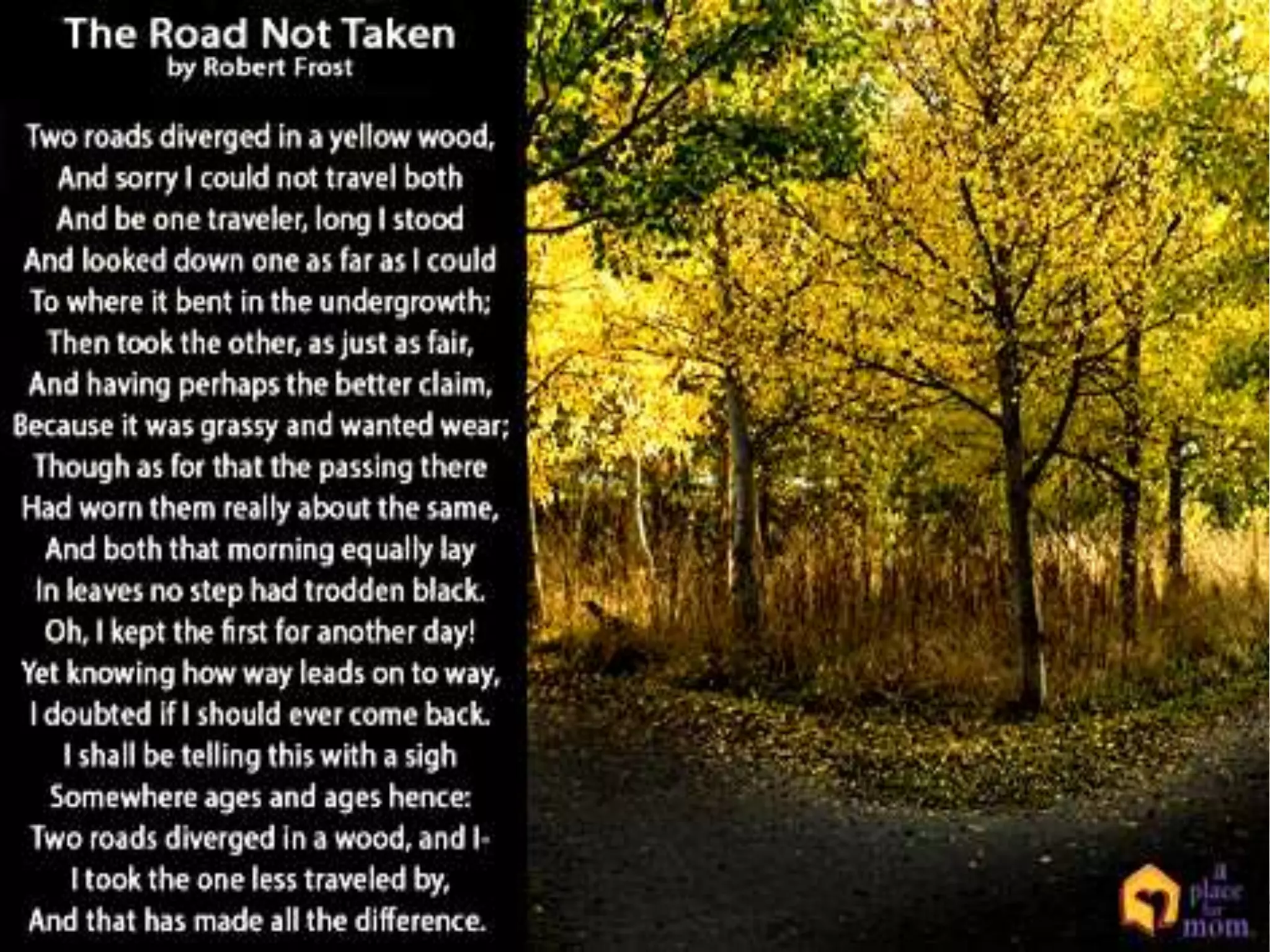 PPT Class IX THE ROAD NOT TAKEN.pptx