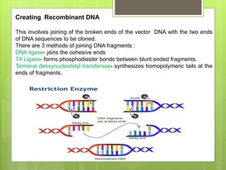 Recombinant DNA technology and its applications | PPTX