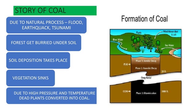 COAL AND PETROLEUM | PPTX