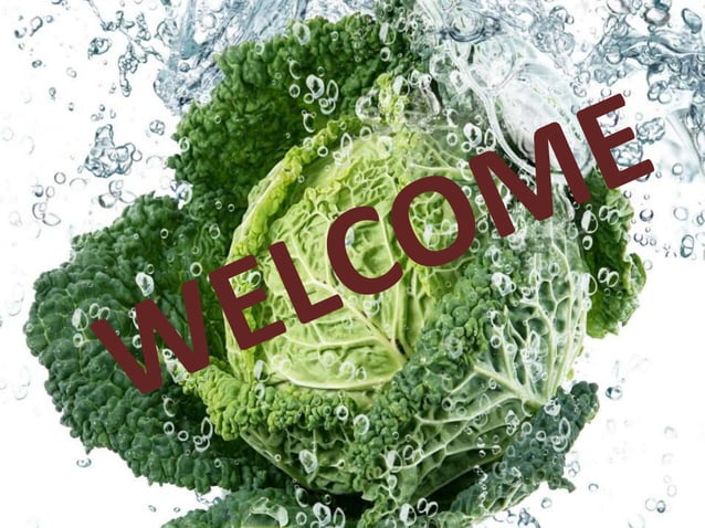 Ppt cole crops | PPTX | Gardening | Home & Garden